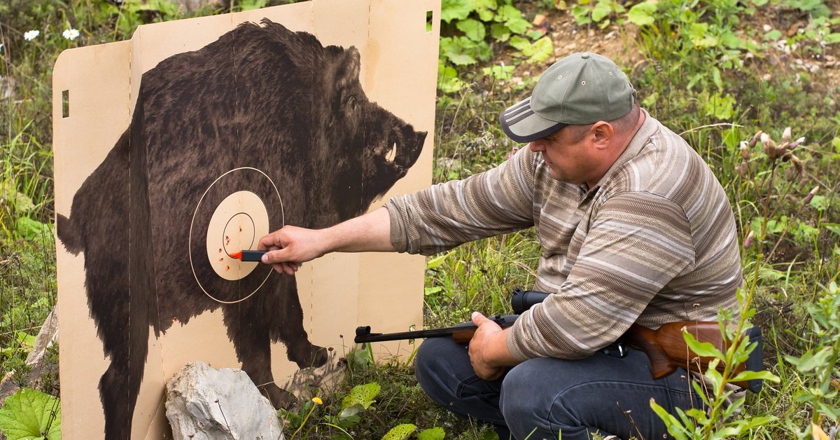 Florida Hog Hunting: Firearms and Archery Tips