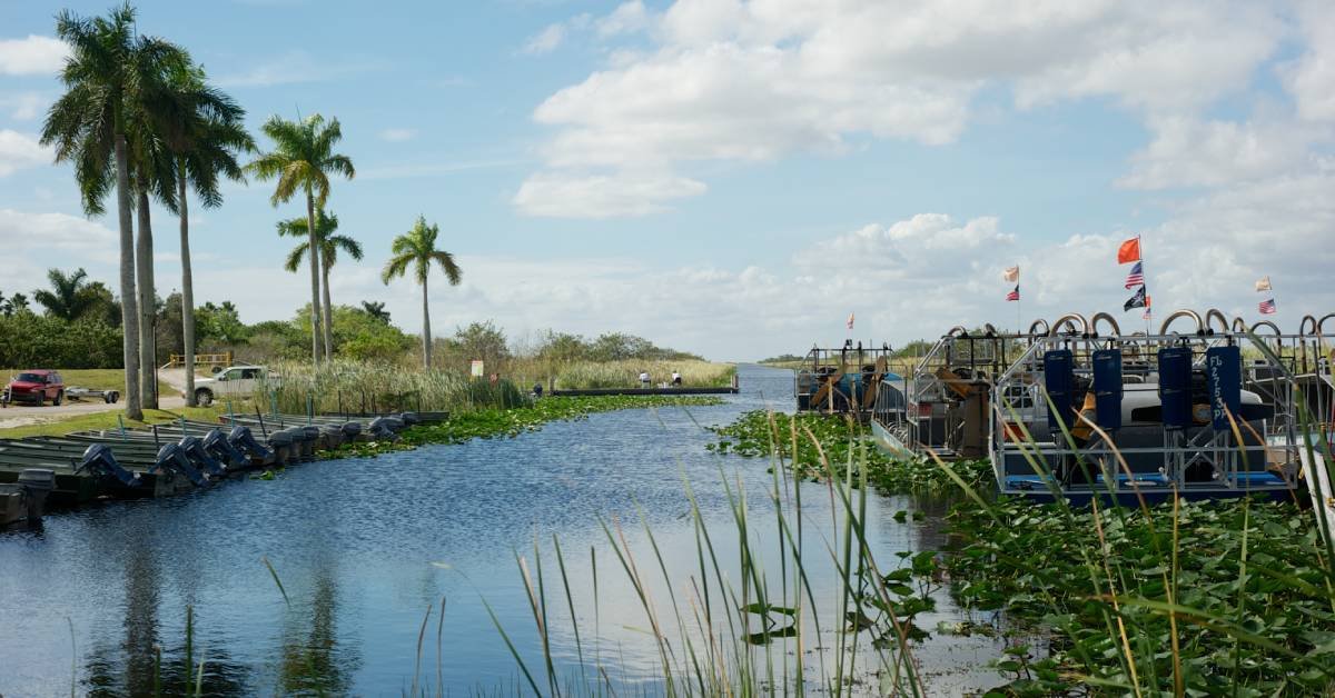 10 Major Threats to the Everglades Ecosystem